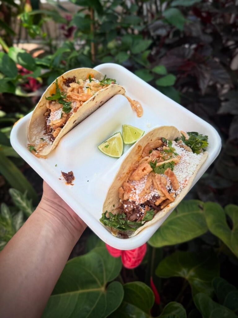 60+ Taco Party Ideas for Friends & Family Gatherings