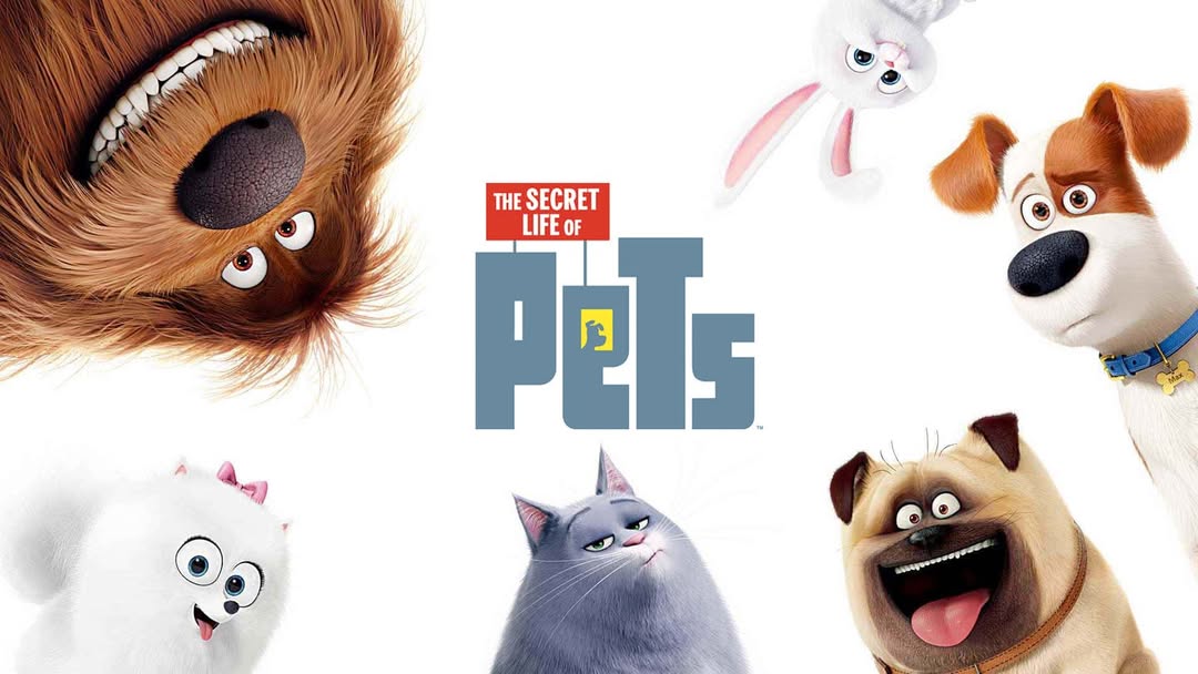 100+ Best Family Movie Night Ideas for All Ages