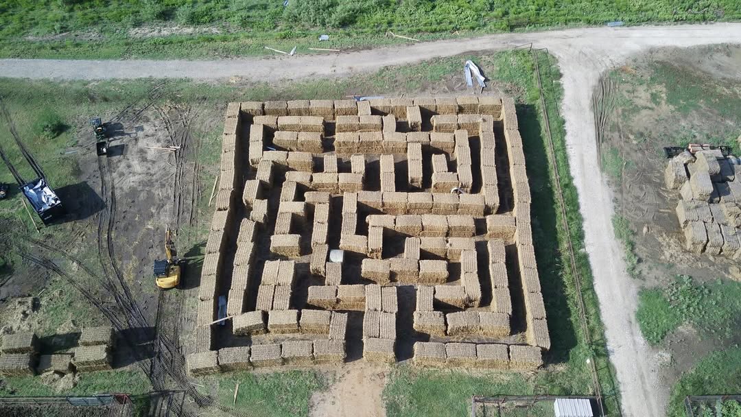 40+ Fun & Easy Fall Festival Game Ideas