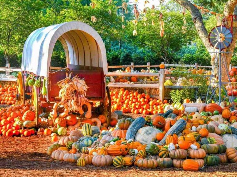 40+ Fun & Easy Fall Festival Game Ideas